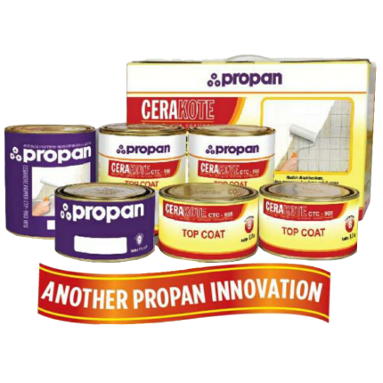 Mr Paint Shop - Protective Coating